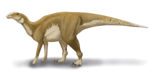 What Was the First Dinosaur Ever Discovered? – Dino World