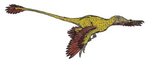 Microraptor: The Four-Winged Glider Smaller Than a Housecat – Dino World
