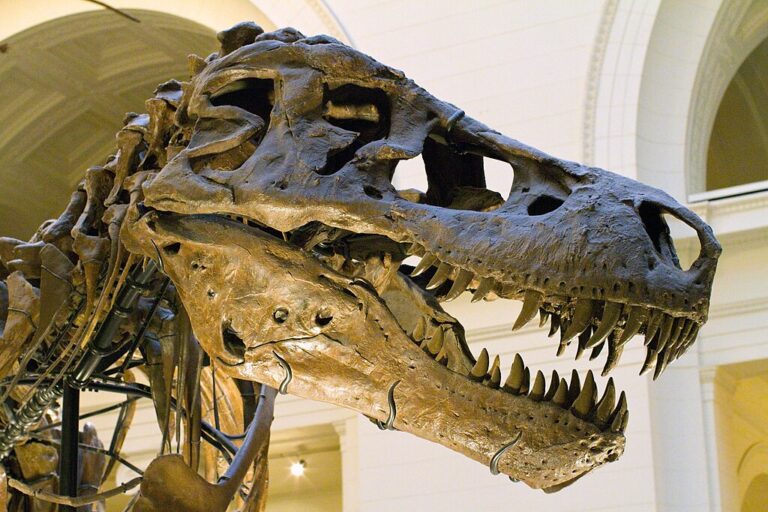 Dinosaur Profiles – Dino World