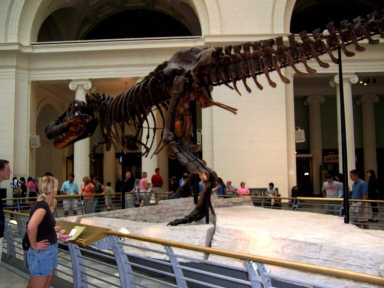 The Most Complete Dinosaur Skeleton Ever Found – Dino World