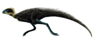 From Compsognathus to Microraptor: The Little Dinosaurs That Changed ...