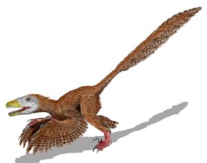 Deinonychus: The Raptor That Inspired a Revolution in Dinosaur Science ...