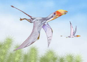 What Was the Largest Flying Dinosaur? Meet the Giant Pterosaurs – Dino ...