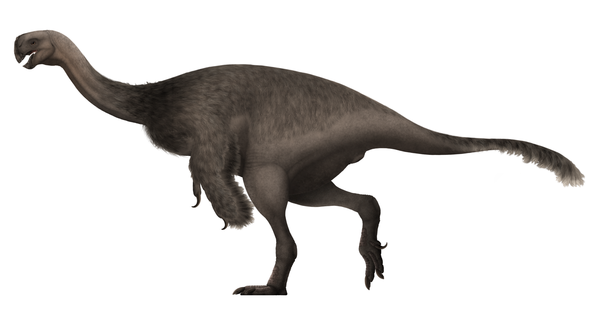 The Fastest Raptor Dinosaur – How Fast Could It Run? – Dino World