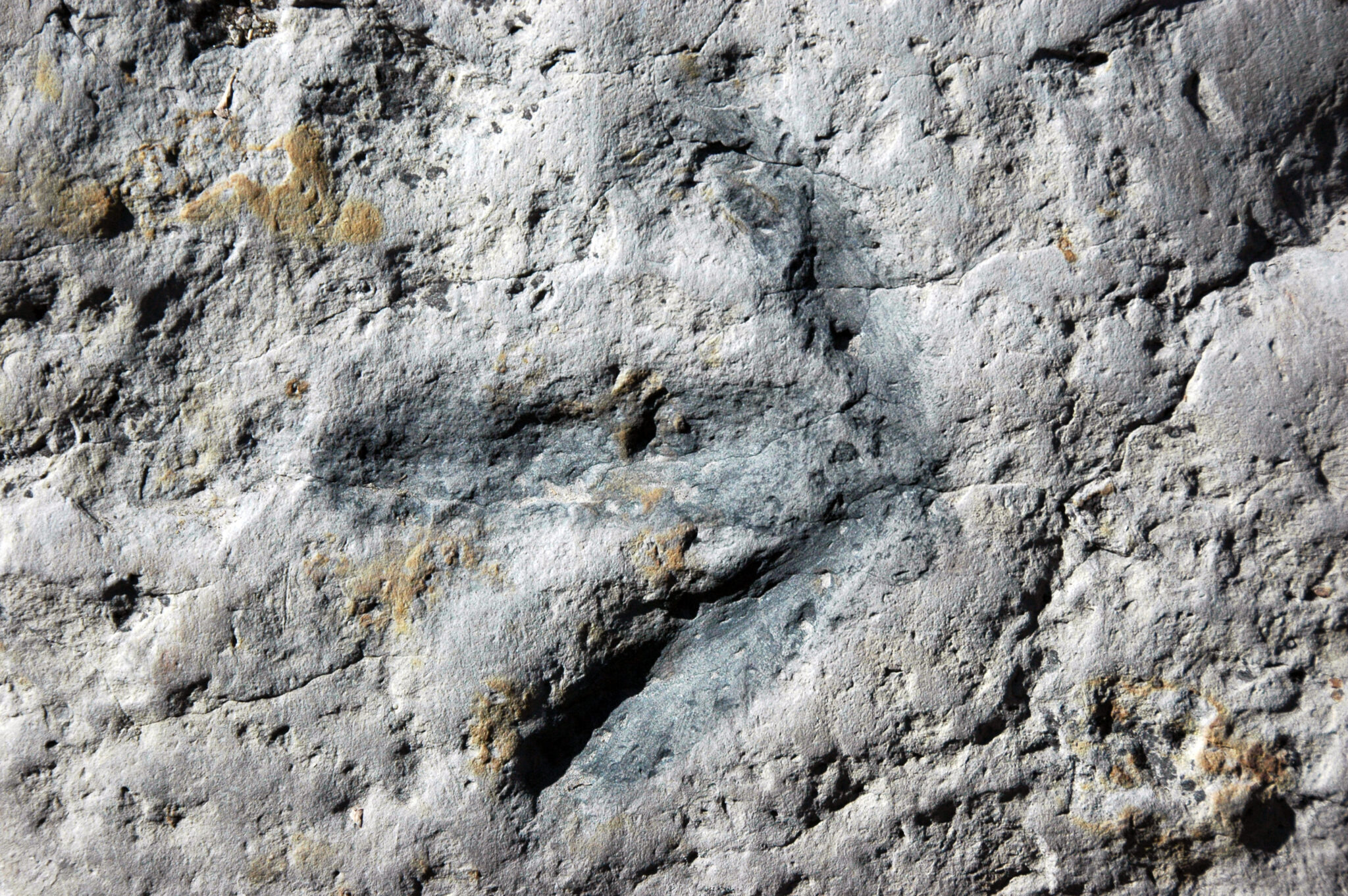 How Did Dinosaurs Survive Ice Ages? – Dino World