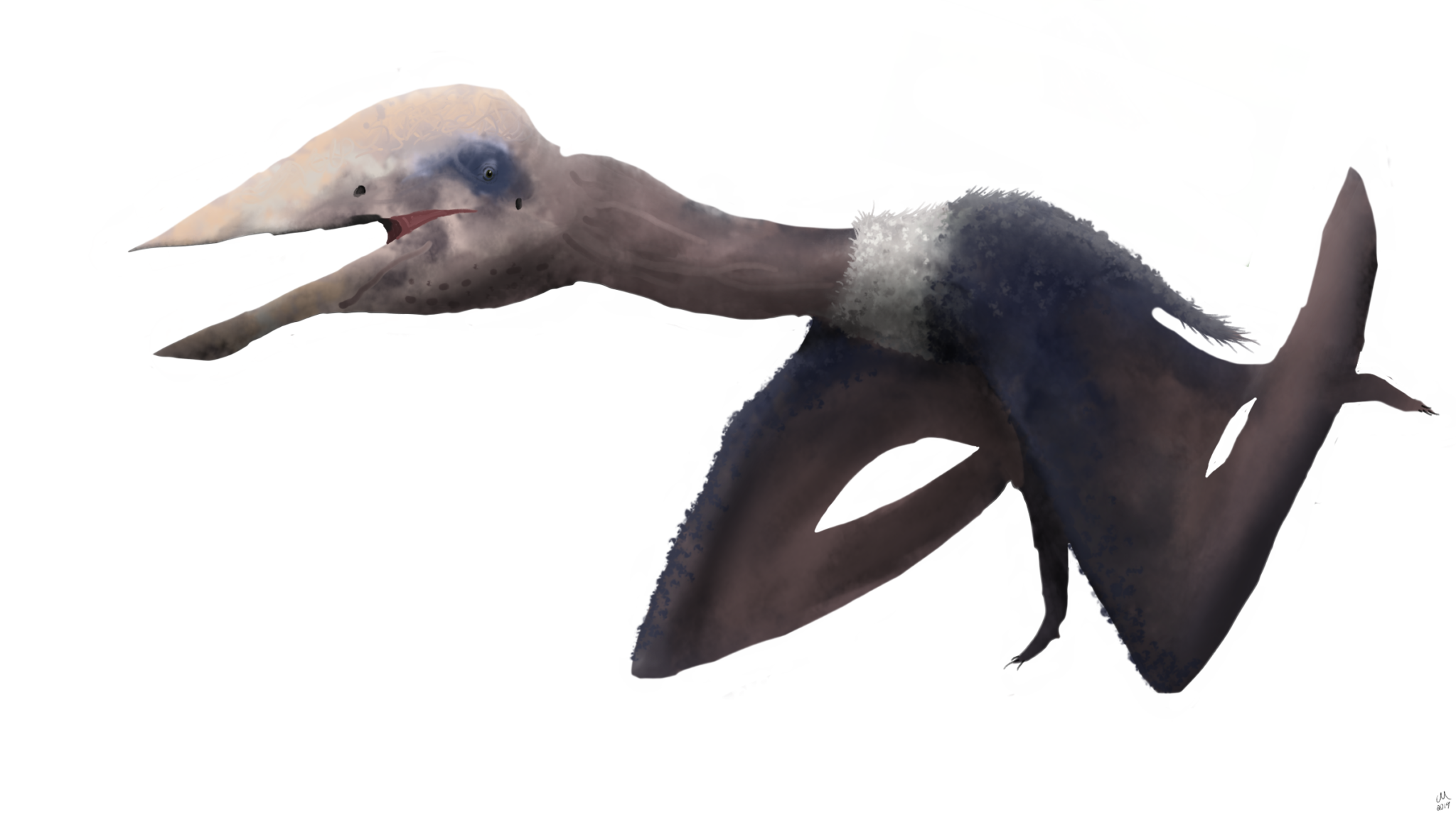 What Was the Largest Flying Dinosaur? Meet the Giant Pterosaurs – Dino ...