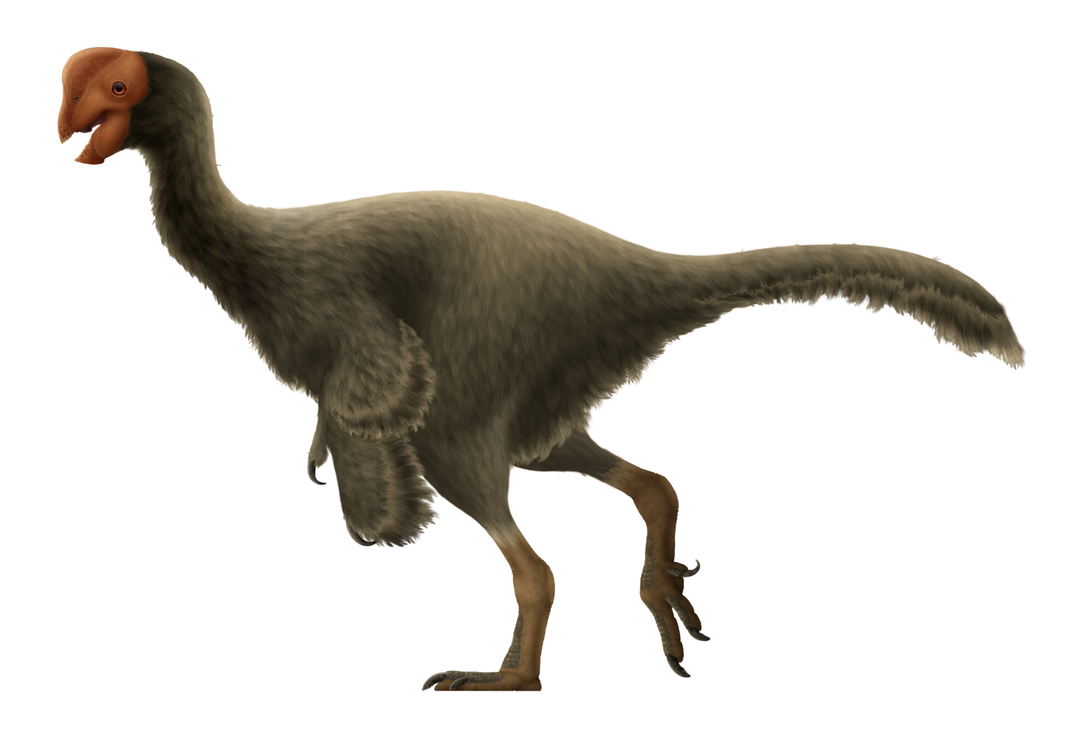 Oviraptor: The Dinosaur Wrongly Accused of Stealing Eggs – Dino World