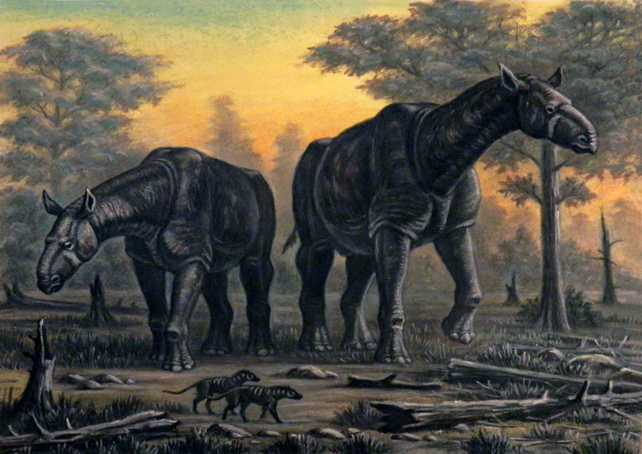 Meet Indricotherium: The Largest Land Mammal Ever – Dino World