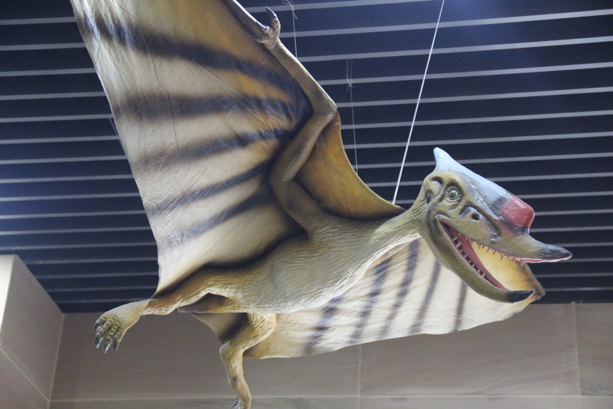 What Was the Largest Flying Dinosaur? Meet the Giant Pterosaurs – Dino ...
