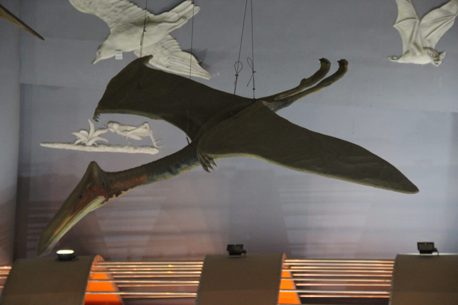 What Was the Largest Flying Dinosaur? Meet the Giant Pterosaurs – Dino ...