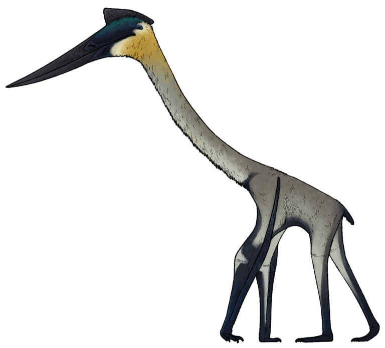 What Was the Largest Flying Dinosaur? Meet the Giant Pterosaurs – Dino ...