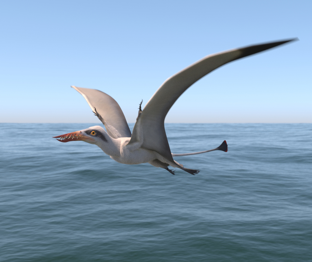 What Was the Largest Flying Dinosaur? Meet the Giant Pterosaurs – Dino ...