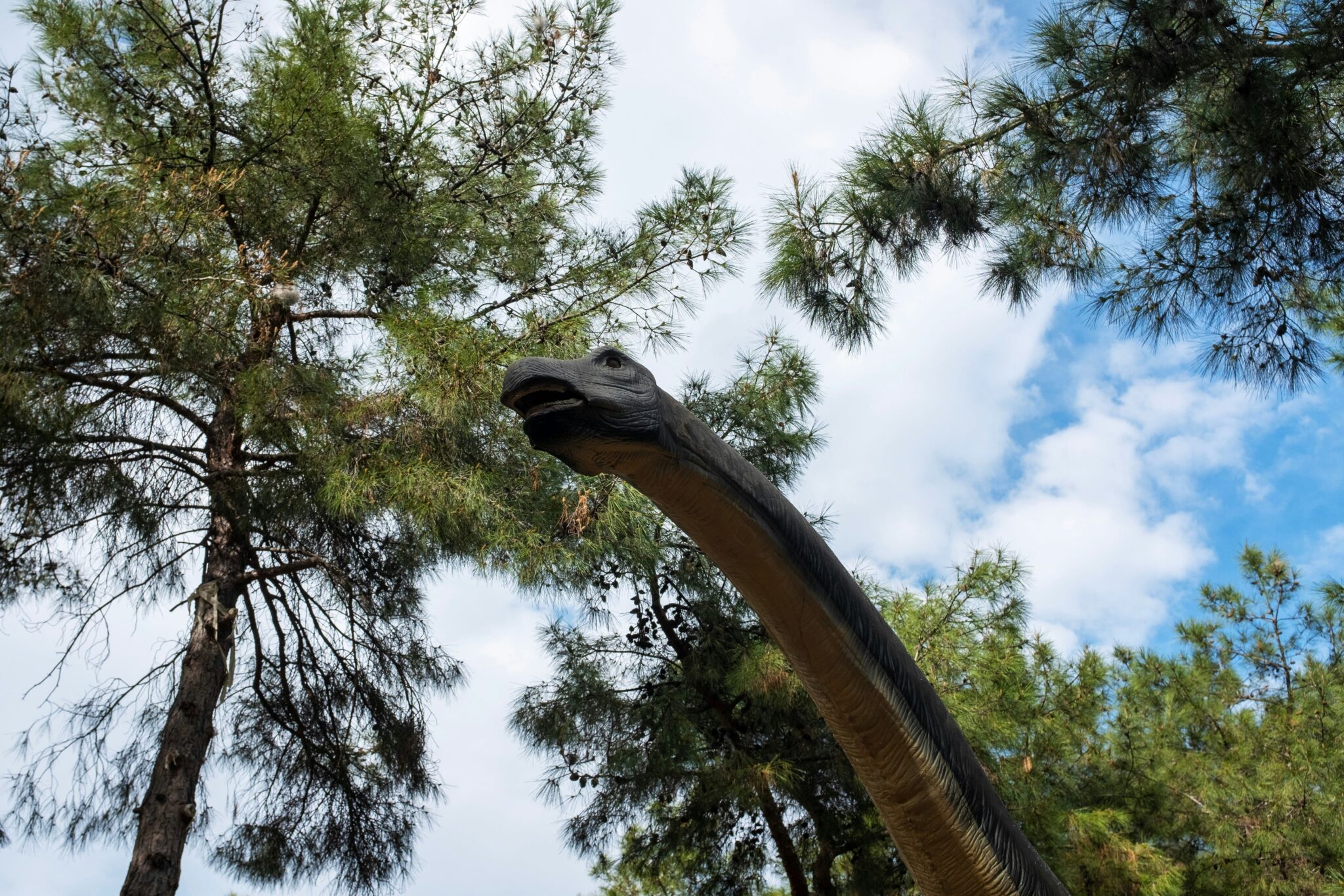 How Did Dinosaurs Survive Ice Ages? – Dino World