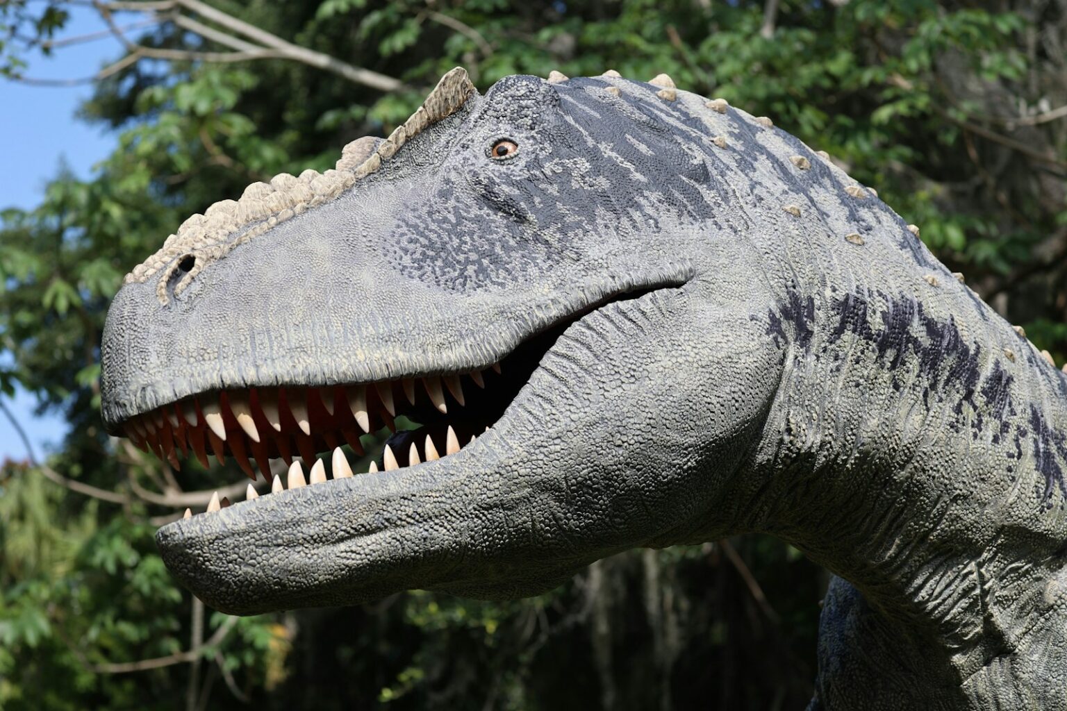 Could Dinosaurs Have Lived Alongside Humans? – Dino World