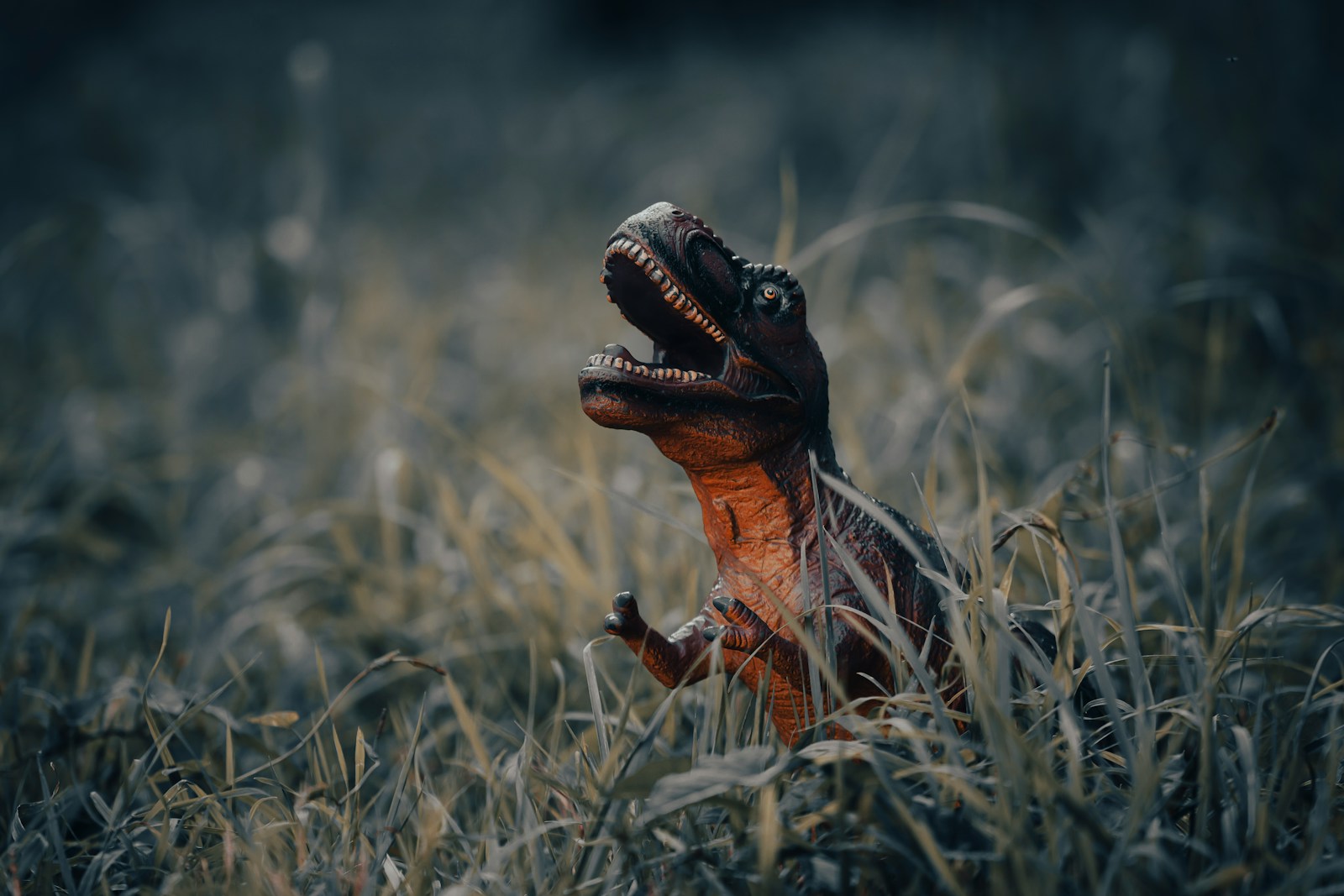 How Tall Was a T-Rex Compared to a School Bus – Dino World