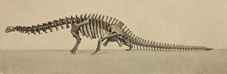 Brontosaurus: The Dinosaur That Was Erased—Then Resurrected – Dino World