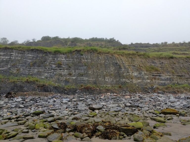 How Mary Anning’s Fossils Shaped Our Understanding of Prehistoric Life ...