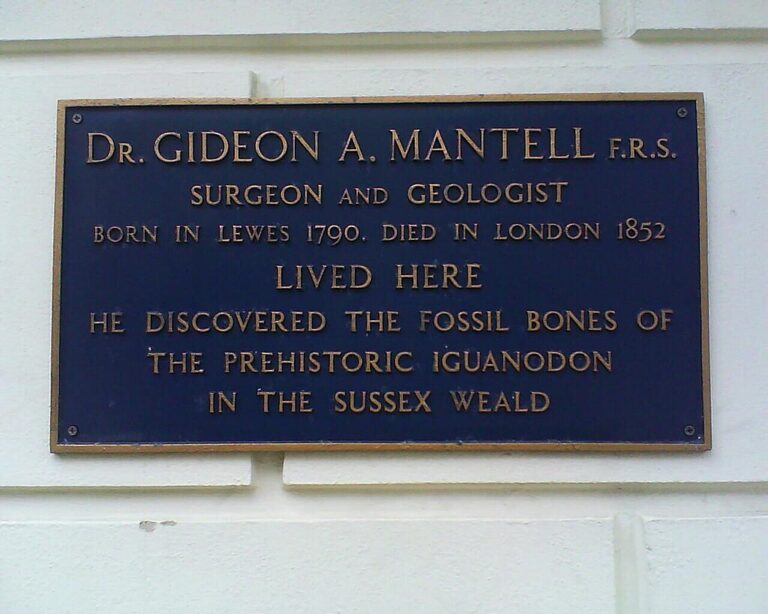 Gideon Mantell: The Amateur Fossil Collector Who Discovered Iguanodon ...