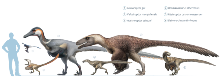 Compsognathus: The Jurassic’s Chicken-Sized Hunter – Dino World