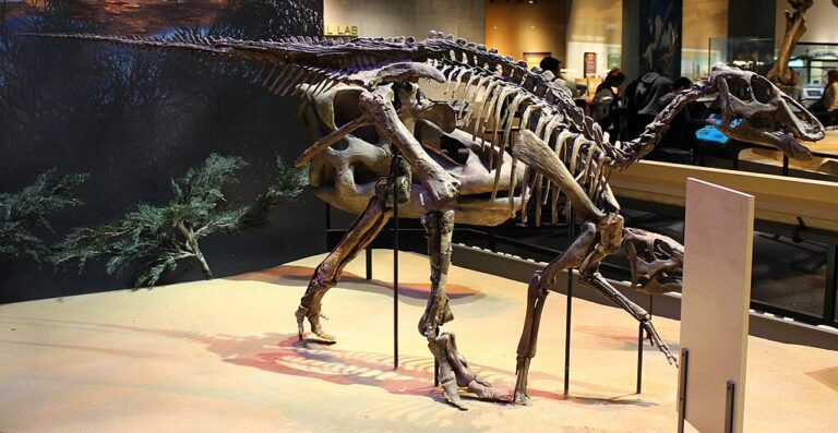 Edmontosaurus: The Duck-Billed Dinosaur With Mummified Fossils – Dino World