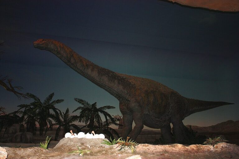 Brontosaurus: The Dinosaur That Was Erased—and Then Resurrected – Dino ...