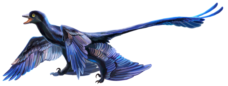 Microraptor The Four Winged Glider That Bridged the Gap to Birds – Dino ...