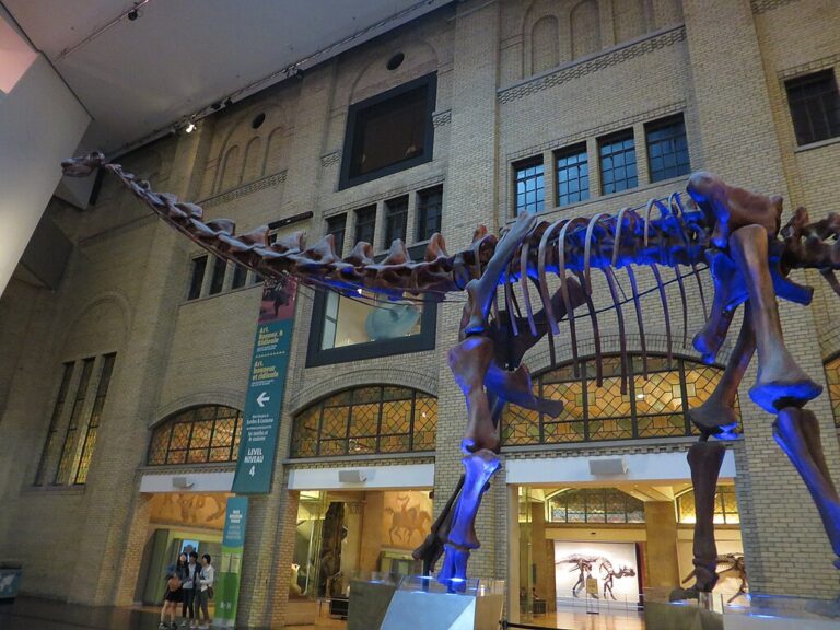 The Most Realistic Dinosaur Models Ever Created for Museums – Dino World
