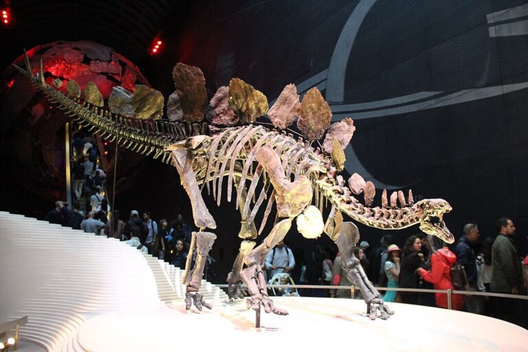London’s Natural History Museum: Where Iconic Dinosaurs Await – Dino World