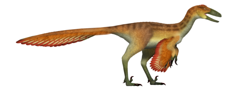 Troodon: The Brainiest Dinosaur That Might Have Evolved Into a ...