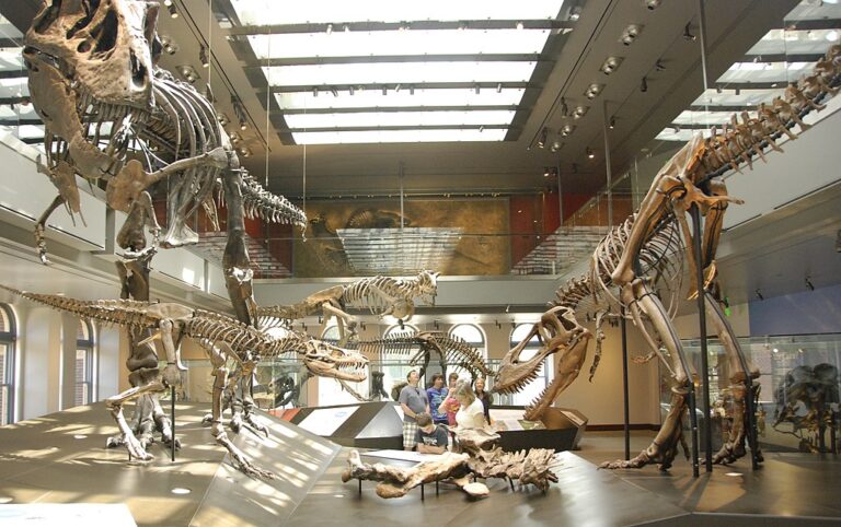 The Most Realistic Dinosaur Models Ever Created for Museums – Dino World