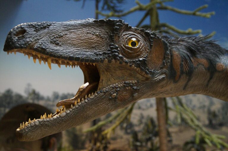 Biggest Dinosaurs Ever Discovered (And Where to See Them) – Dino World