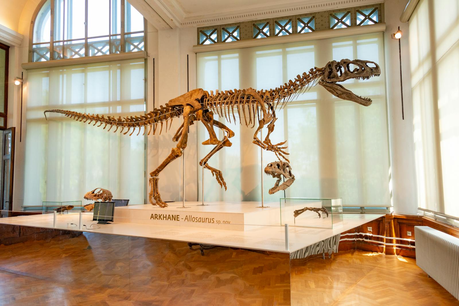 Utahraptor The Raptor That Was Bigger and Scarier Than We Thought ...