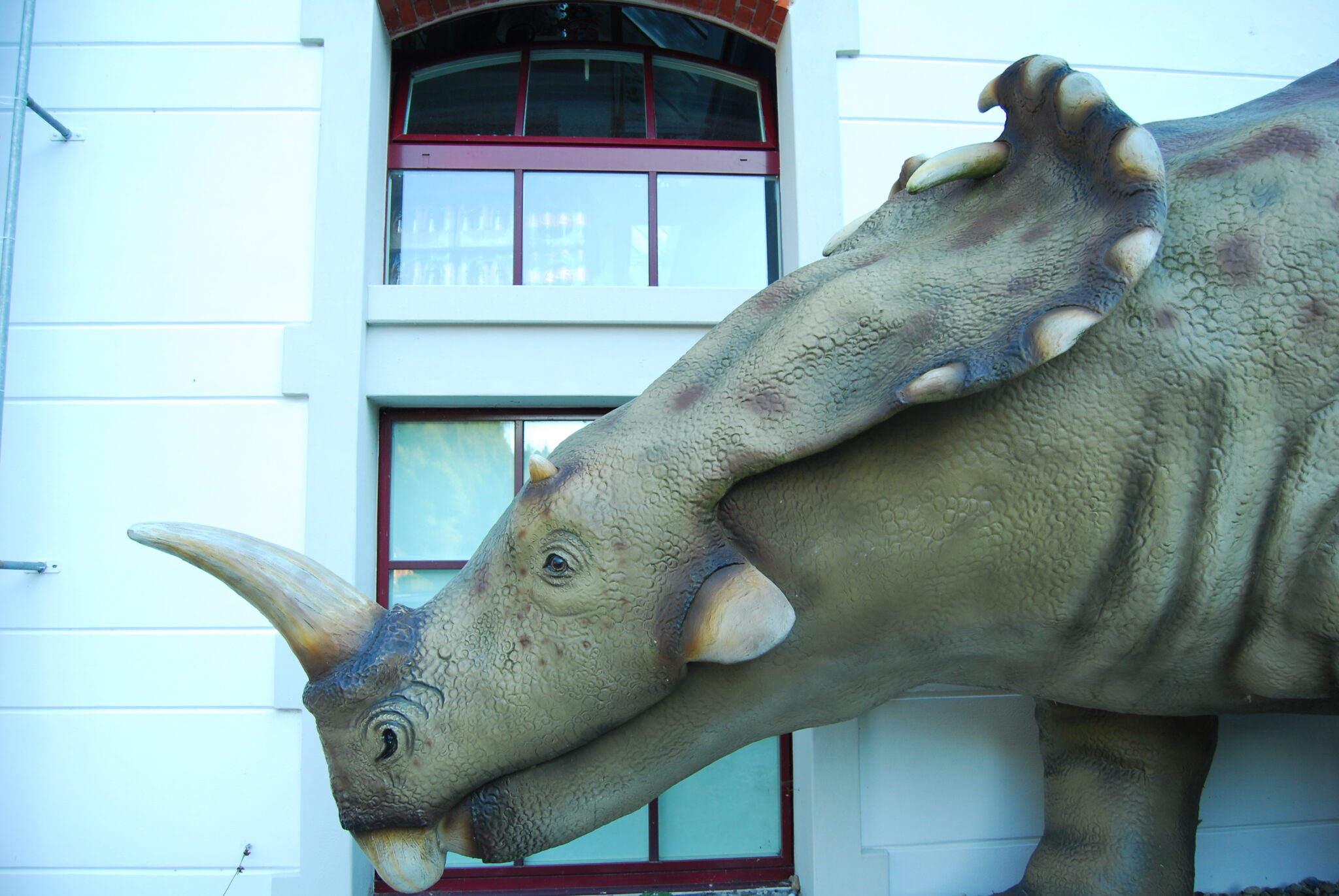 Centrosaurus: The One-Horned Wonder of Alberta – Dino World