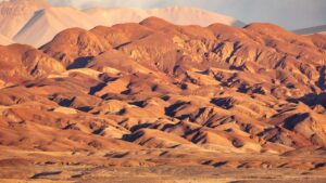 How Did Dinosaurs Poop? Fossil Clues From Coprolites – Dino World