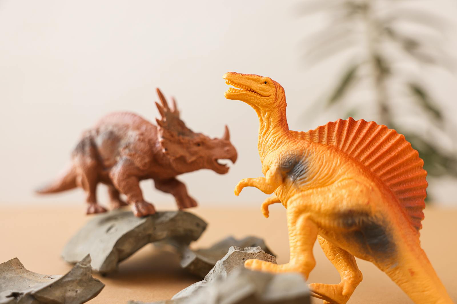 Why Triceratops Had a Giant Frill Theories on Its Purpose – Dino World