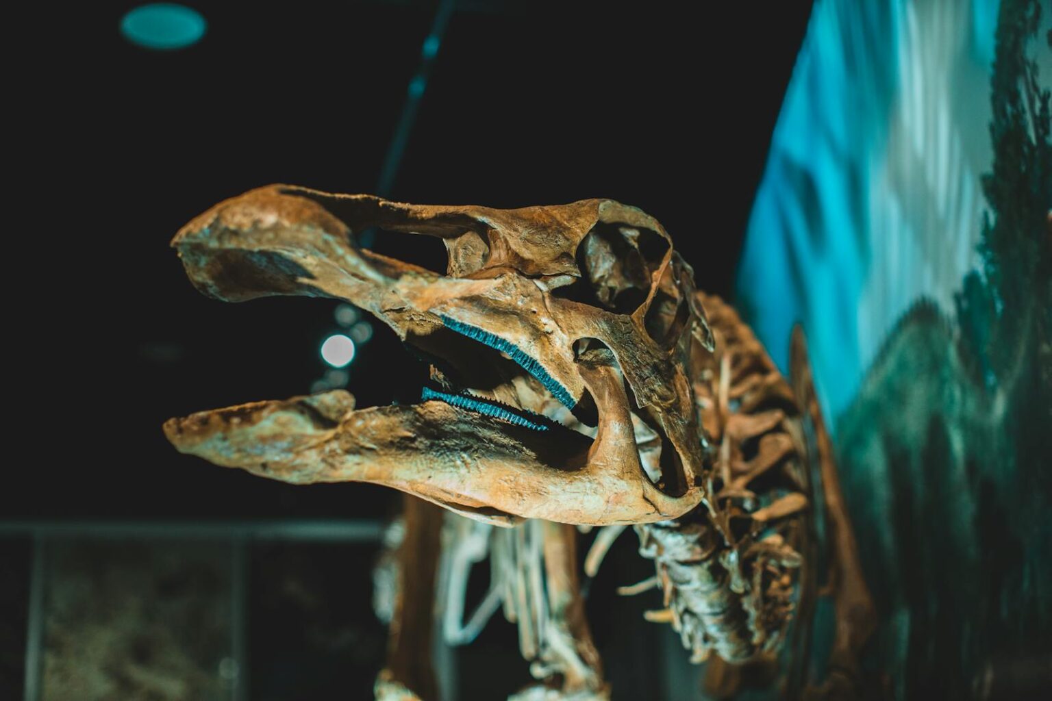 The Oldest Dinosaur Fossil Ever Found Its Over 230 Million Years Old ...