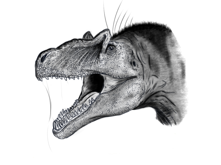 Allosaurus: The Top Predator of the Jurassic Period – Dino World