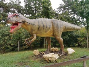 Allosaurus: The Top Predator of the Jurassic Period – Dino World