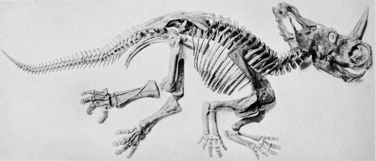 The Split Between Bird-Hipped and Lizard-Hipped Dinosaurs Explained ...