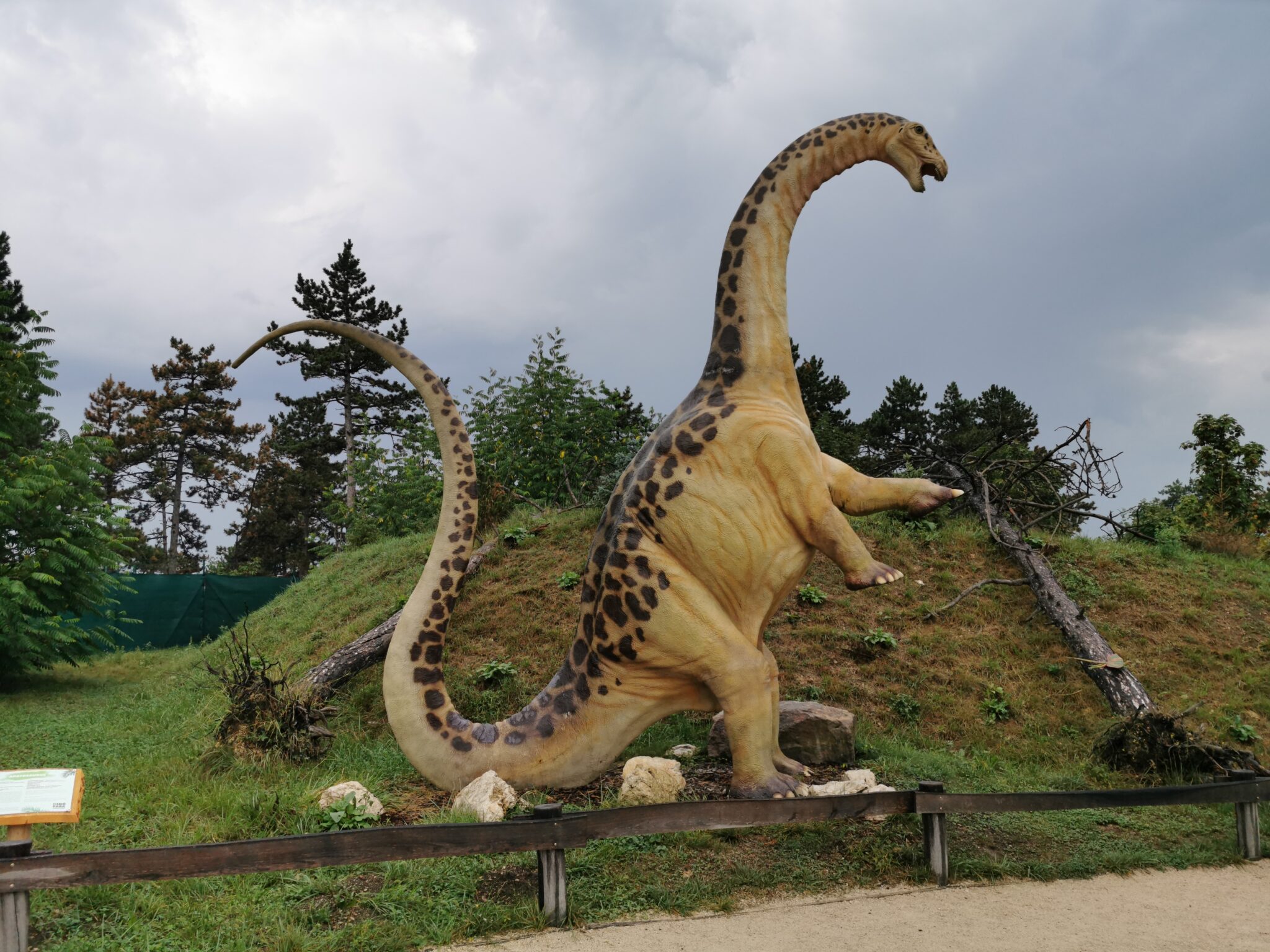 Apatosaurus: The Long-Necked Legend Once Called Brontosaurus – Dino World