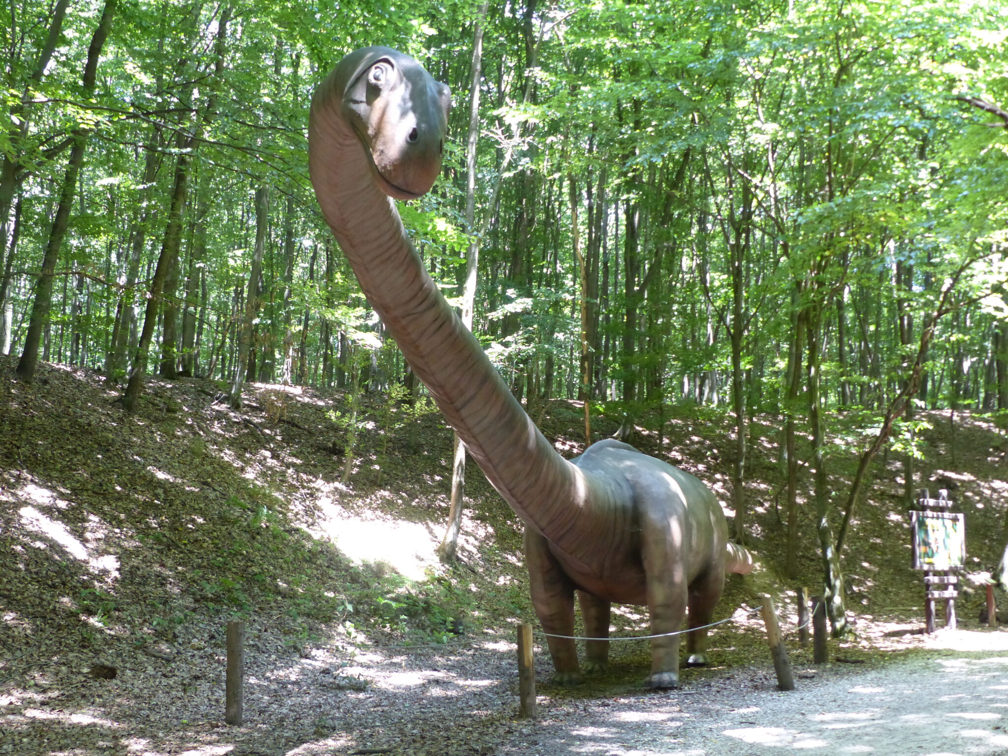 Apatosaurus: The Long-Necked Legend Once Called Brontosaurus – Dino World
