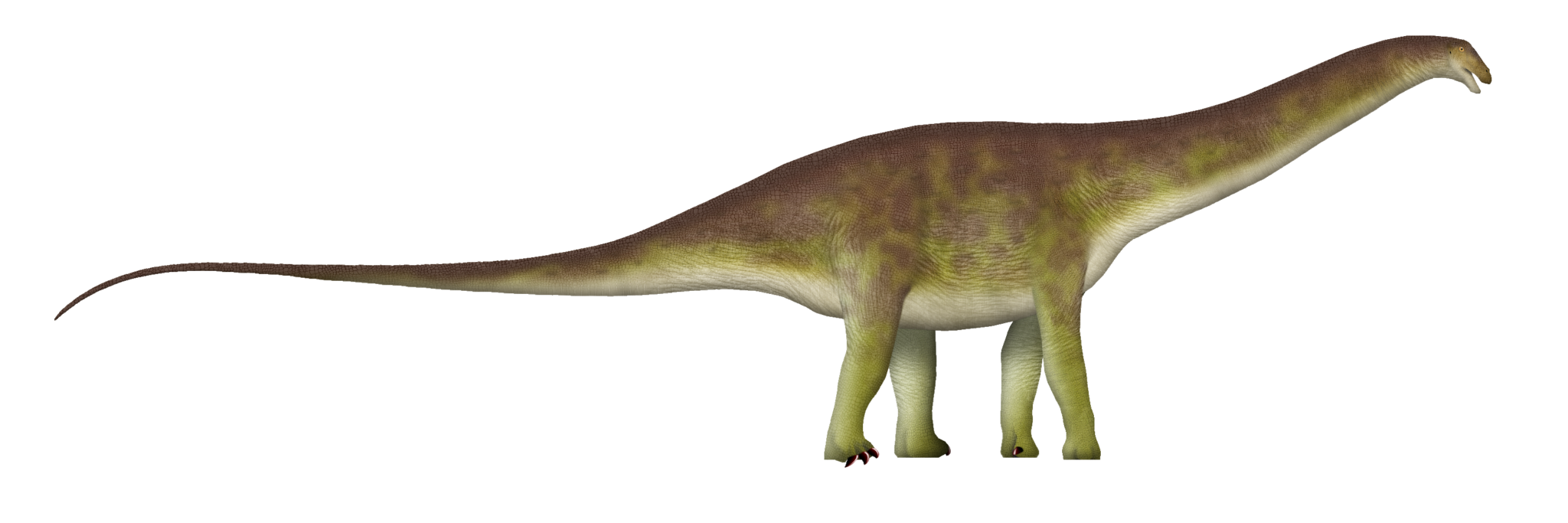 Brontosaurus: The Dinosaur That Was Erased—and Then Resurrected – Dino ...