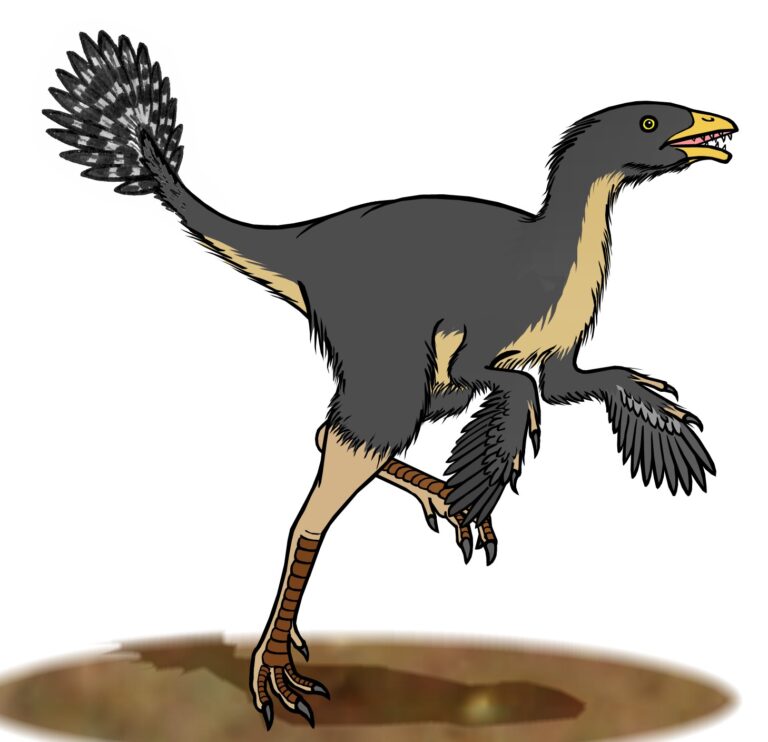 Caudipteryx: The Dino With a Fan of Feathers and Chicken-Like Legs ...
