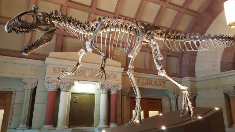 Cryolophosaurus: The Antarctic Carnivore With a Fancy Head Crest – Dino ...