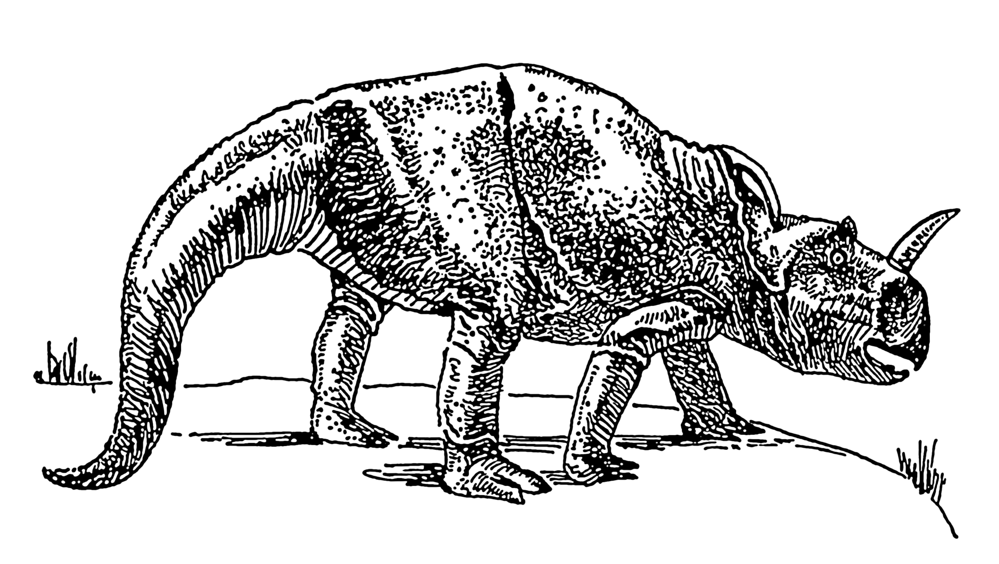 Centrosaurus: The One-Horned Wonder of Alberta – Dino World
