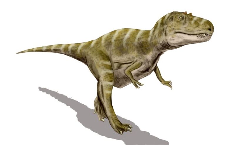 How Do Scientists Know What Dinosaurs Looked Like? – Dino World