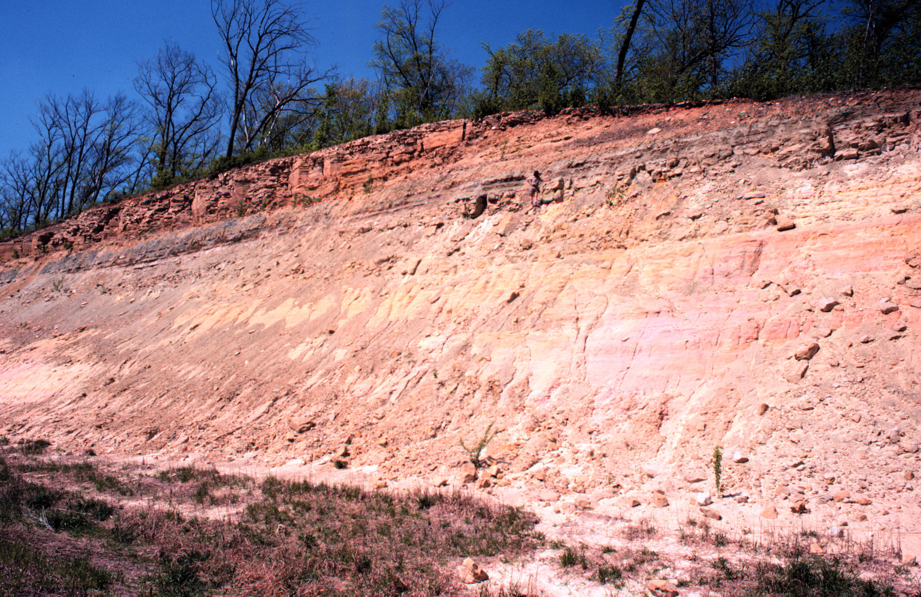 The Story Behind the Hell Creek Formation: Deathbed of the Dinosaurs ...