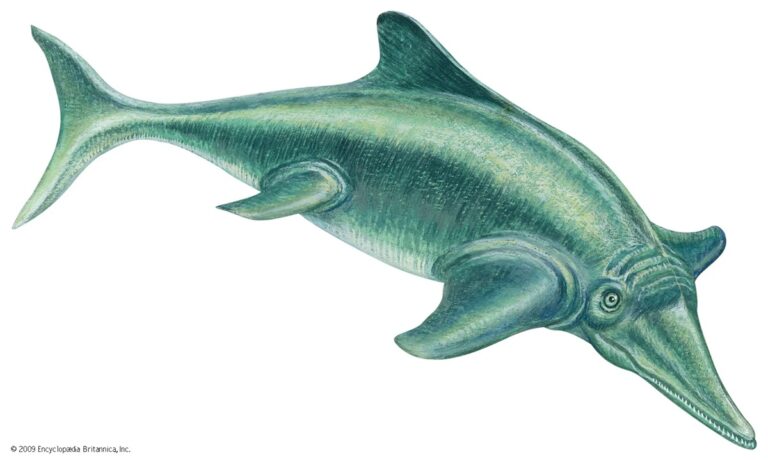 Tanystropheus: The Weirdest Long-Necked Reptile You’ve Never Heard Of ...