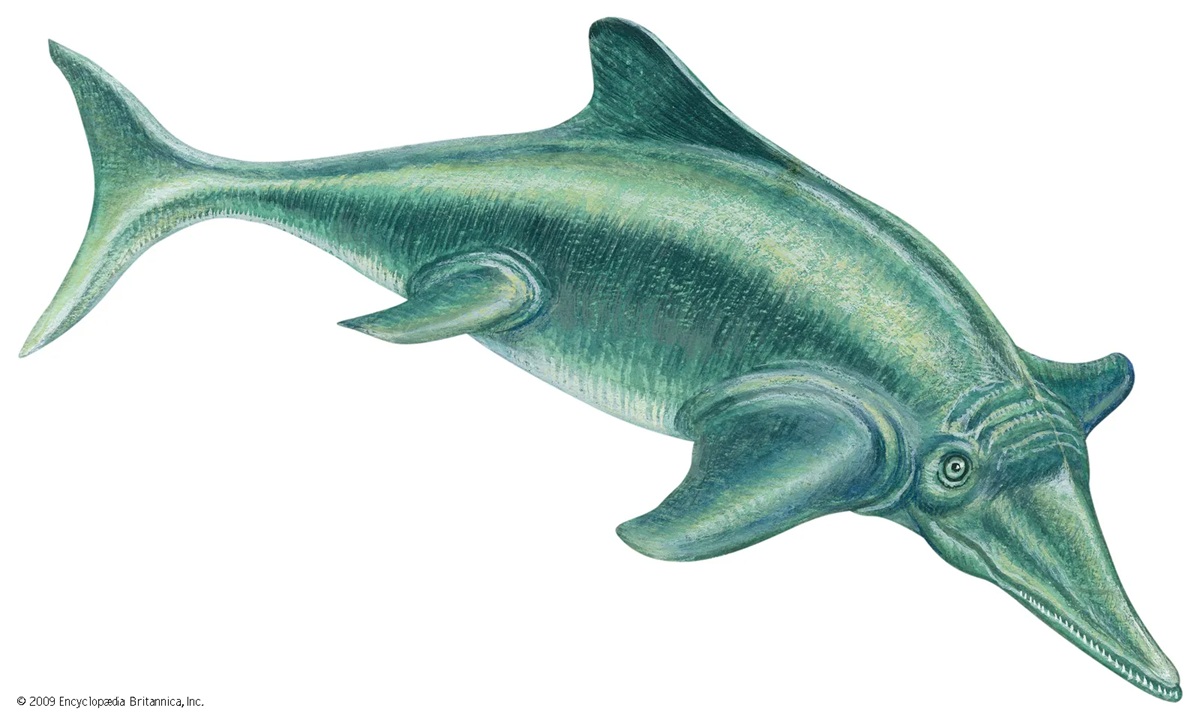 Tanystropheus: The Weirdest Long-Necked Reptile You’ve Never Heard Of ...