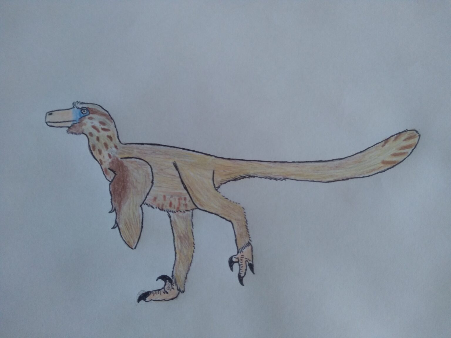 How Fast Could Velociraptors Really Run? – Dino World